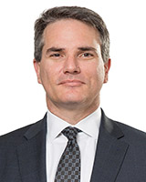 Nelson Mullins - Peter Schoemann